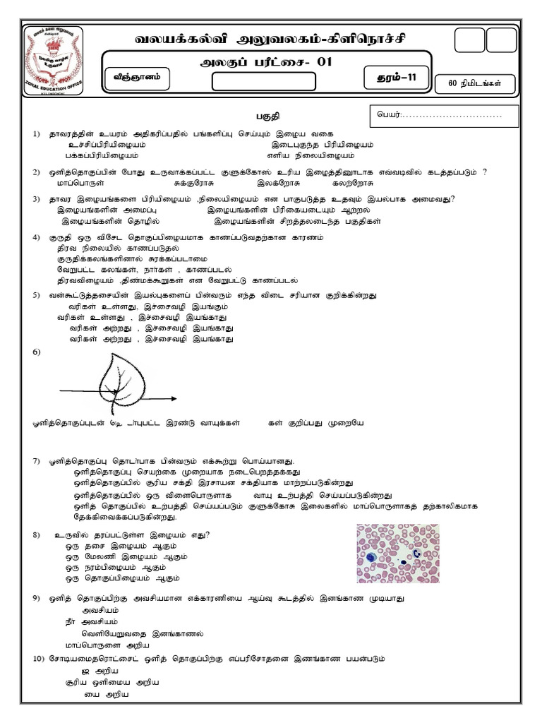 2020 GR 11 Unit Ex1 | PDF