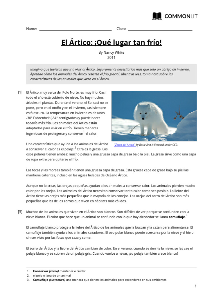 Adaptaciones de Animales del Ártico | PDF | Piel | Oso polar