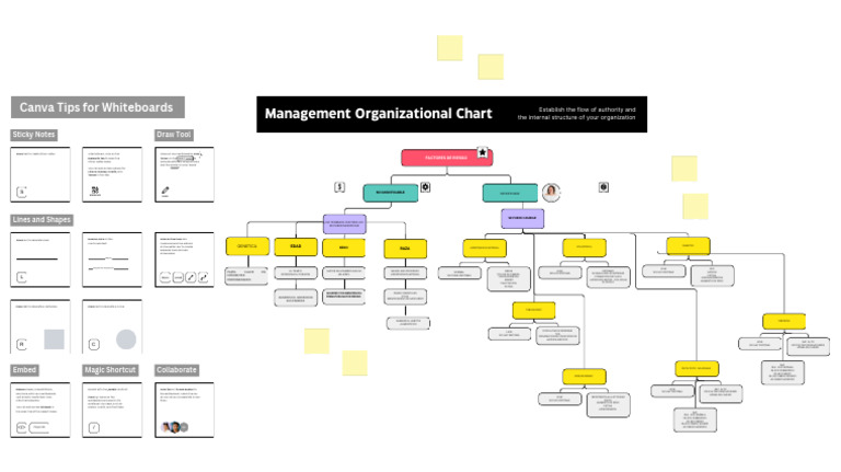 Organizational Chart Whiteboard | PDF