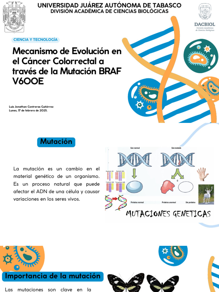 Evolución del Cáncer Colorrectal: BRAF V600E | PDF | Cáncer | Mutación