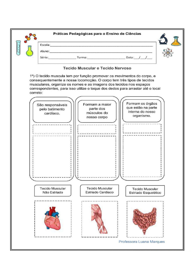 Ativ Tecido Muscular 1 | PDF