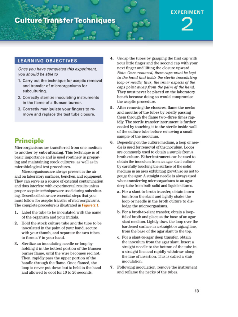 Culture Transfer Technique | PDF