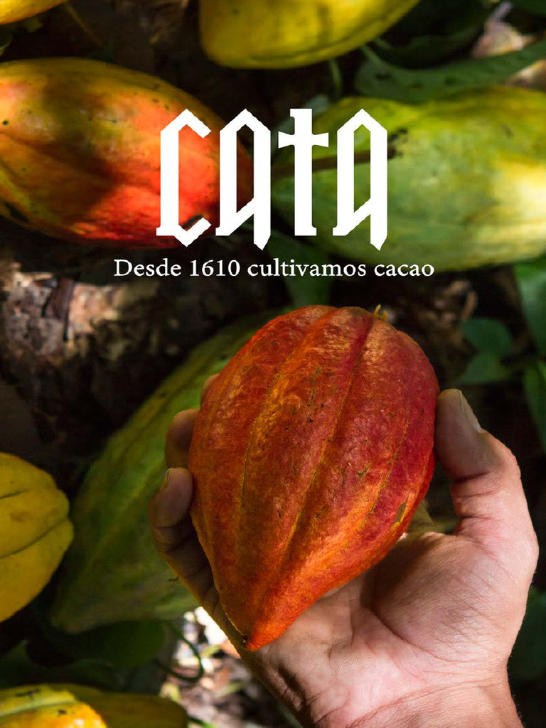 Cata | PDF | Venezuela