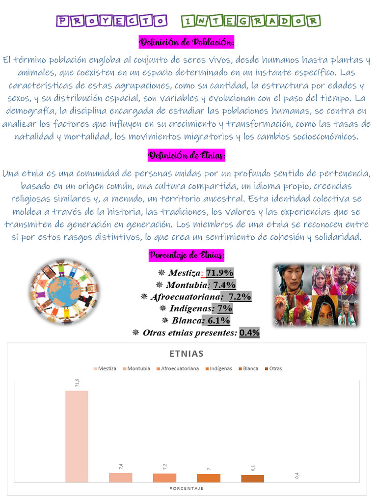Estrada Proyecto Integrador Matemáticas | PDF