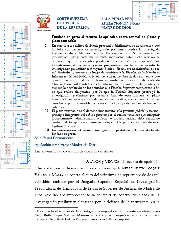 APL 23 005 Control de Plazo Inv Preliminar, Inv X 4 Años, Plazo | PDF | Caso de ley | Fiscal