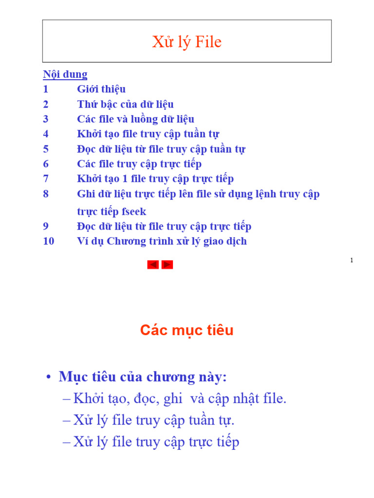 C09 KyThuatSudungFile | PDF