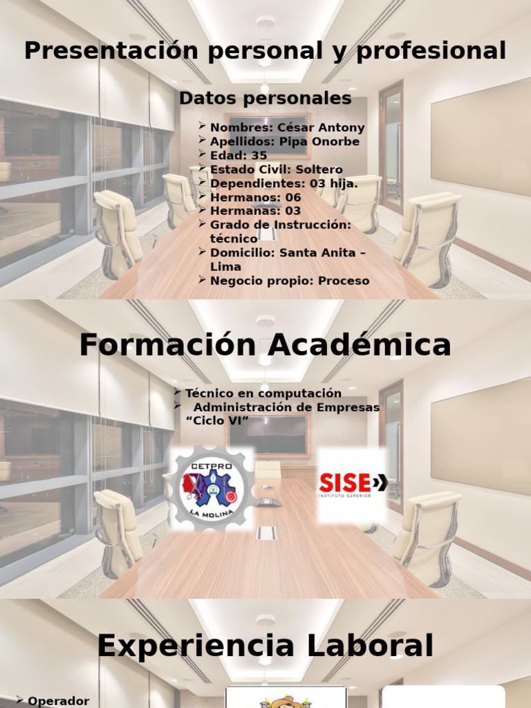 Presentación Profesional de César Antony | PDF
