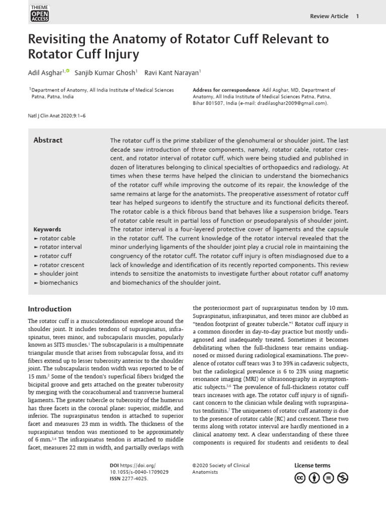 Revisiting The Anatomy of Rotator Cuff Relevant To Rotator Cuff Injury ...