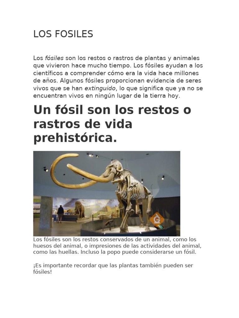 Los Fosiles 123 | PDF | Extinción | Fósil