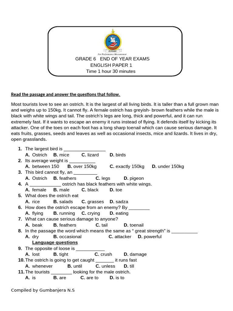 Grade 6 English Paper 1 End of Year Exams 2022 | PDF