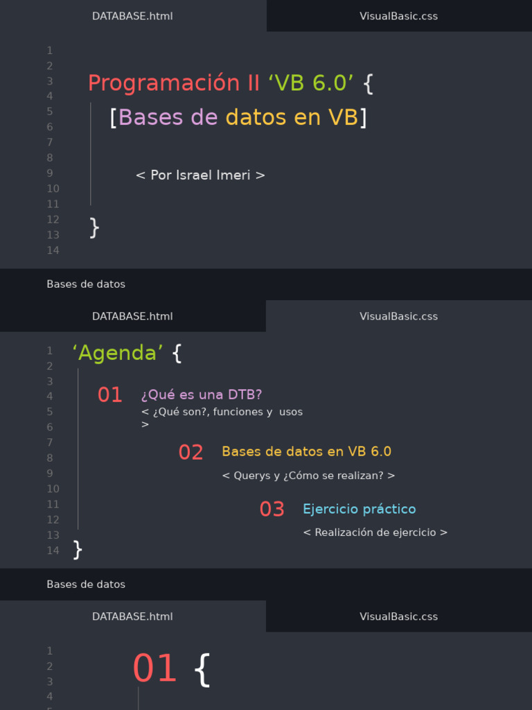 Bases de Datos VB | PDF | Datos | Recuperación de información