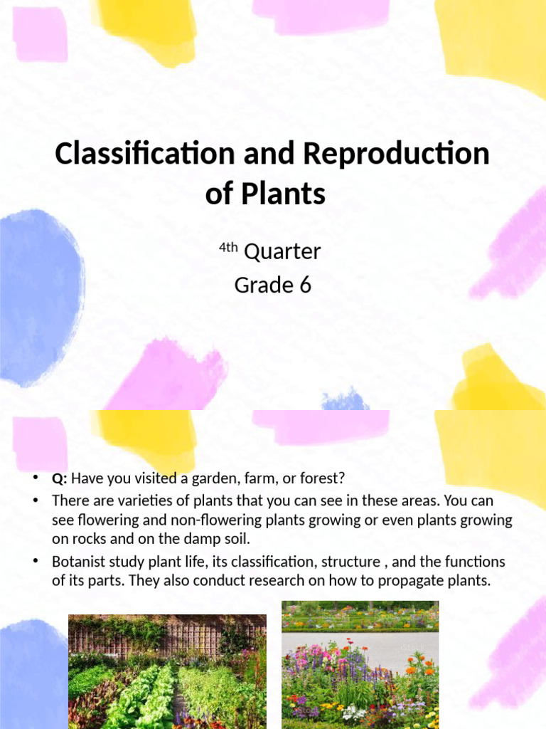 Q4 G6 Classification and Reproduction of Plants | PDF | Flowers | Plants