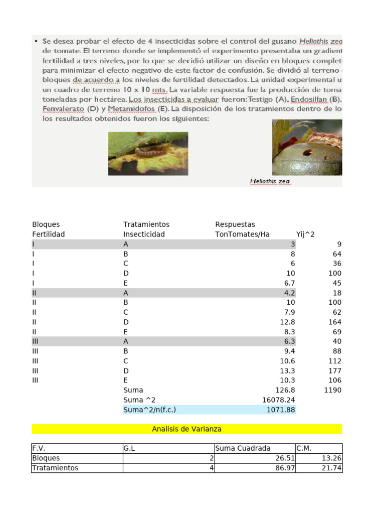 EJERCICIO CLASE DBCA | PDF | Análisis estadístico | Enseñanza de matemática