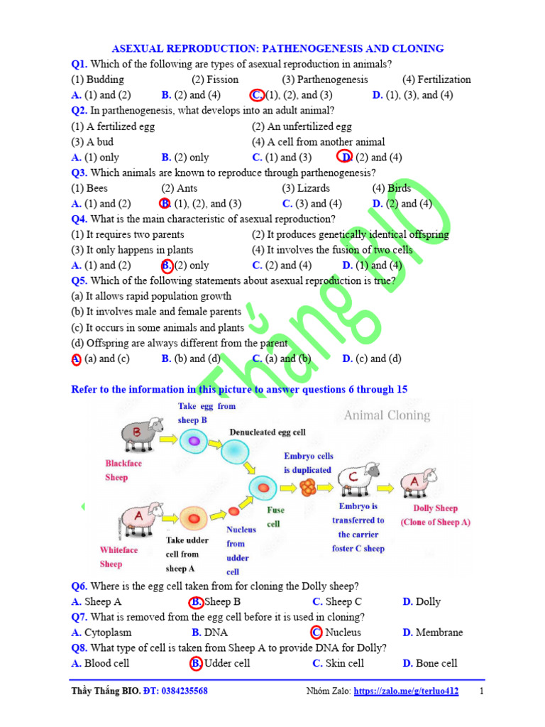 2024.11.03. ASEXUAL REPRODUCITON - PATHENOGENESIS + CLONING | PDF ...