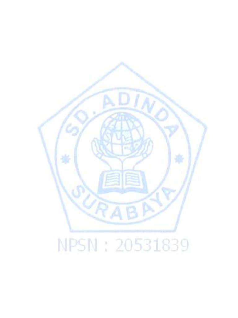 Background Raport | PDF