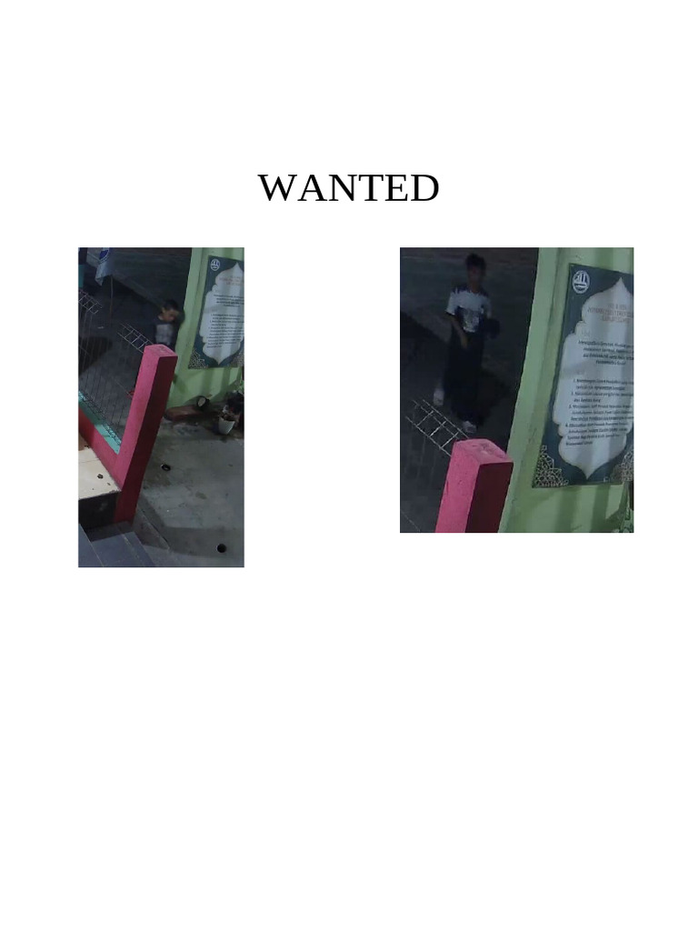 WANTED | PDF