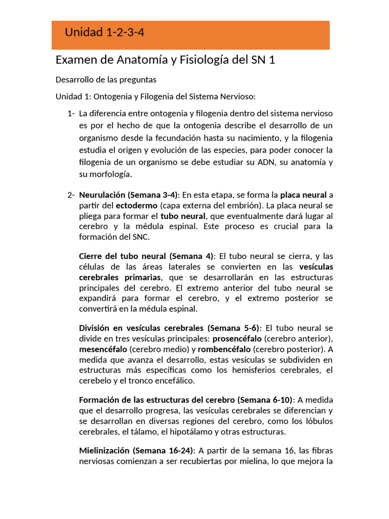 Examen de Neuroanatomía y Fisiología | PDF | Cerebro | Neurona
