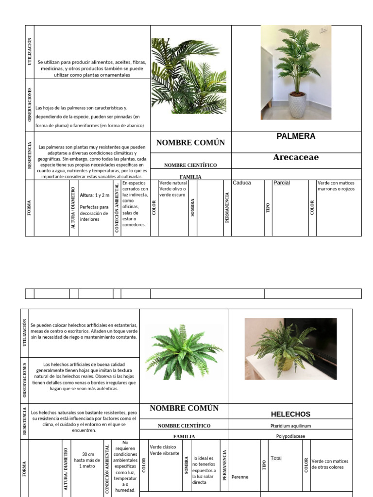 Ficha de Plantas | PDF | Eucalipto | Color