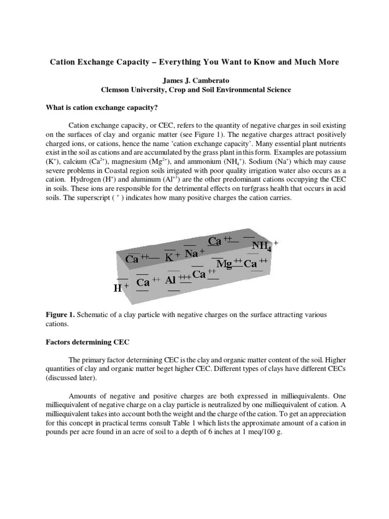 Cation Exchange Capacity | PDF | Soil | Plant Nutrition