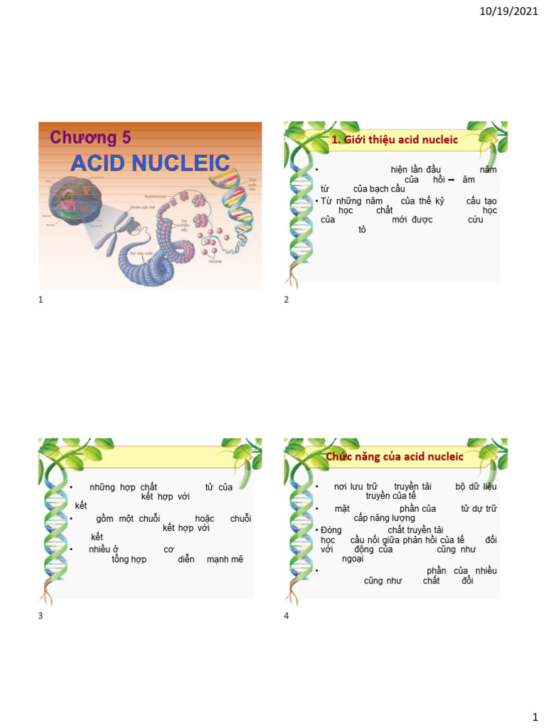 5-Acid Nucleic | PDF