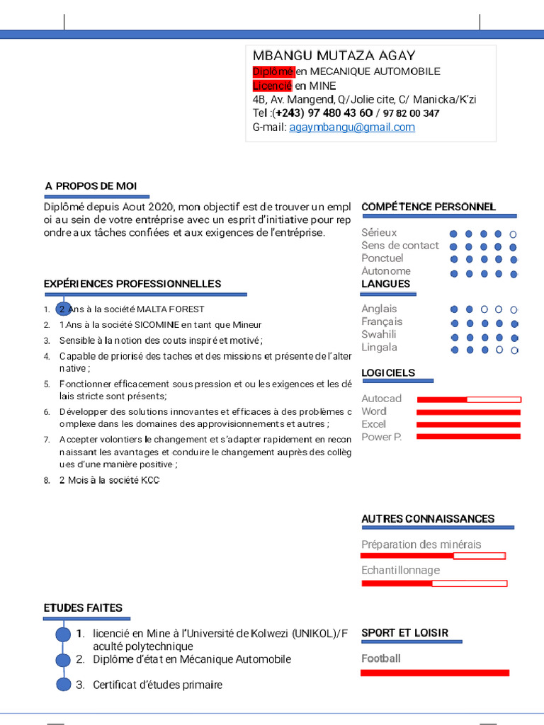 CV Agay CV - Phoenix | PDF