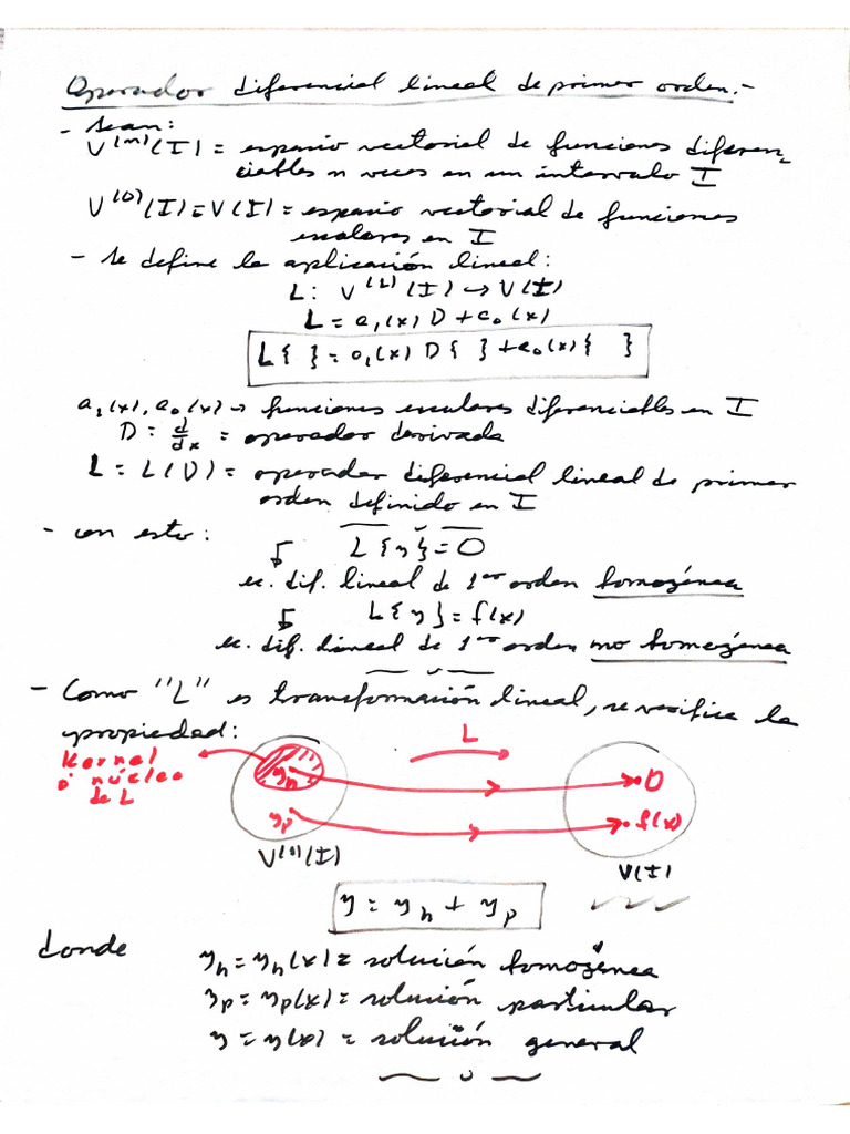 Mat 207 D Clase 2 Primer Orden | PDF