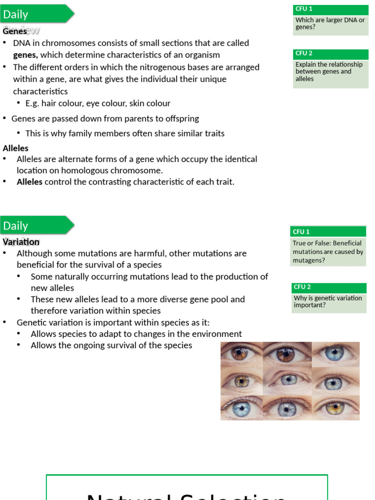 18 Natural Selection | PDF | Natural Selection | Genetic Diversity