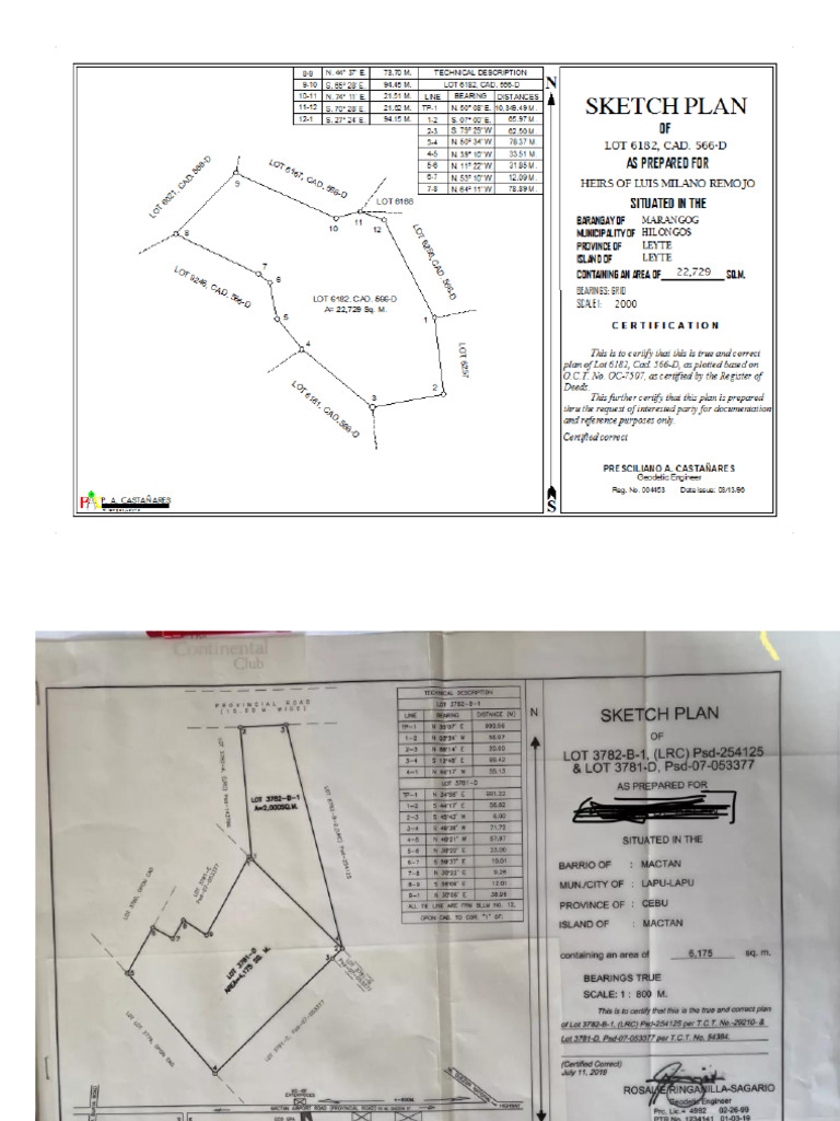 Surveyed Lot Sample - Docx 1 | PDF