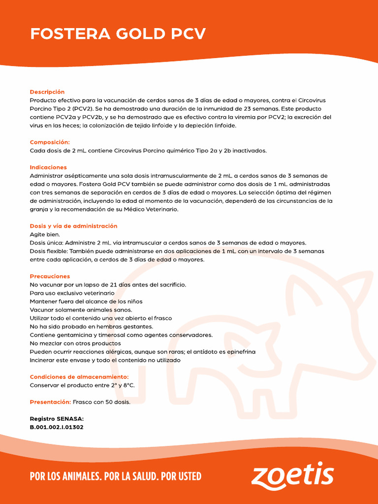 Vacuna Fostera Gold PCV para Cerdos | PDF