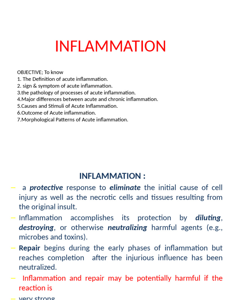 acute-inflammation | PDF | Inflammation | Endothelium