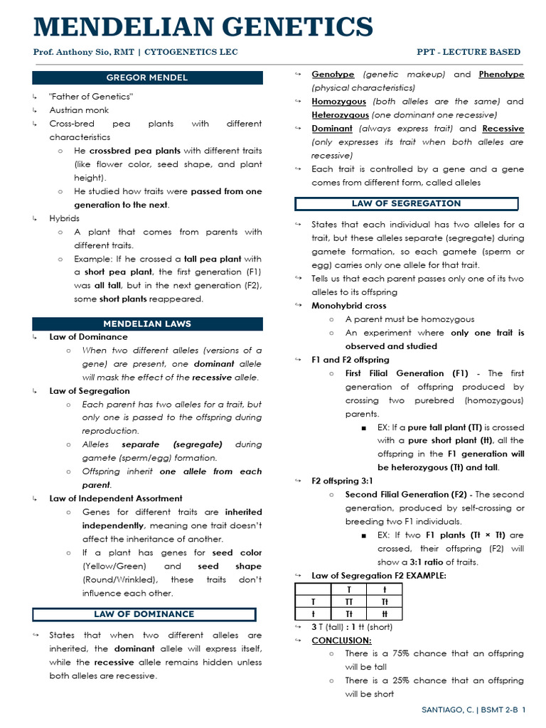Mendelian | PDF | Dominance (Genetics) | Genetics