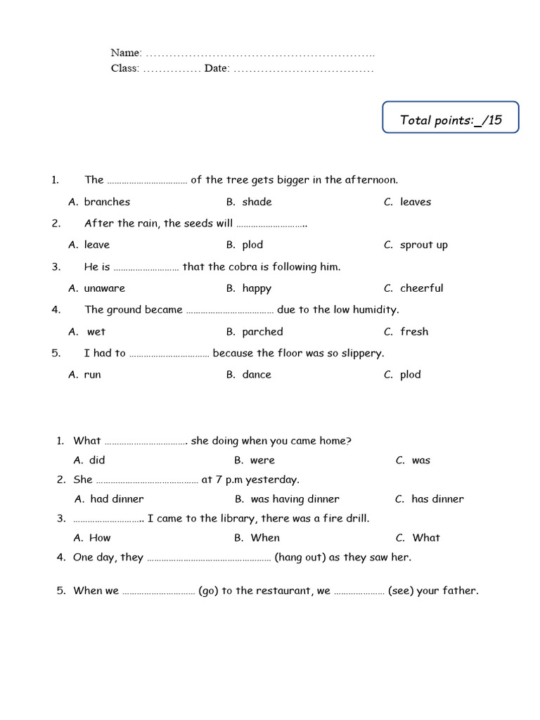S4.U6.5 - Extra Worksheet | PDF