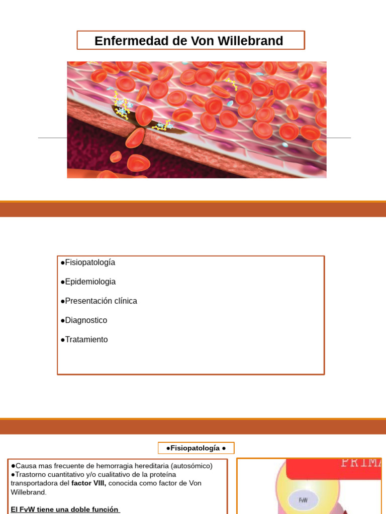 Enfermedad de Von Willebrand: Guía Clínica | PDF | Especialidades ...
