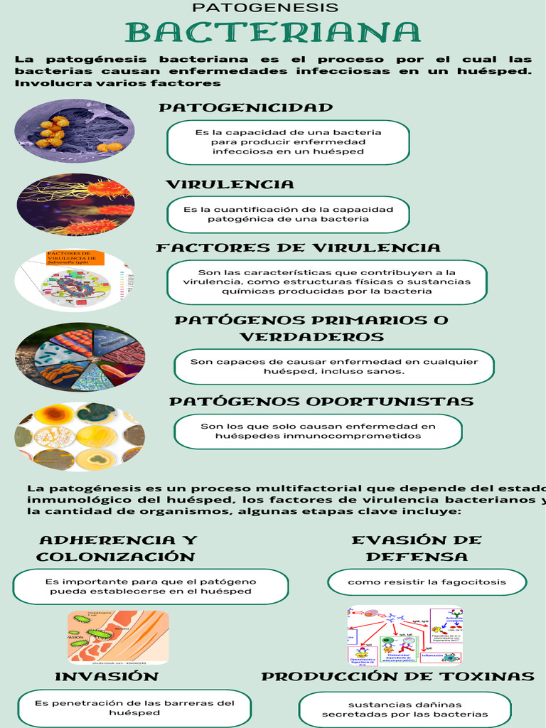 Patogénesis Bacteriana y Virulencia | PDF