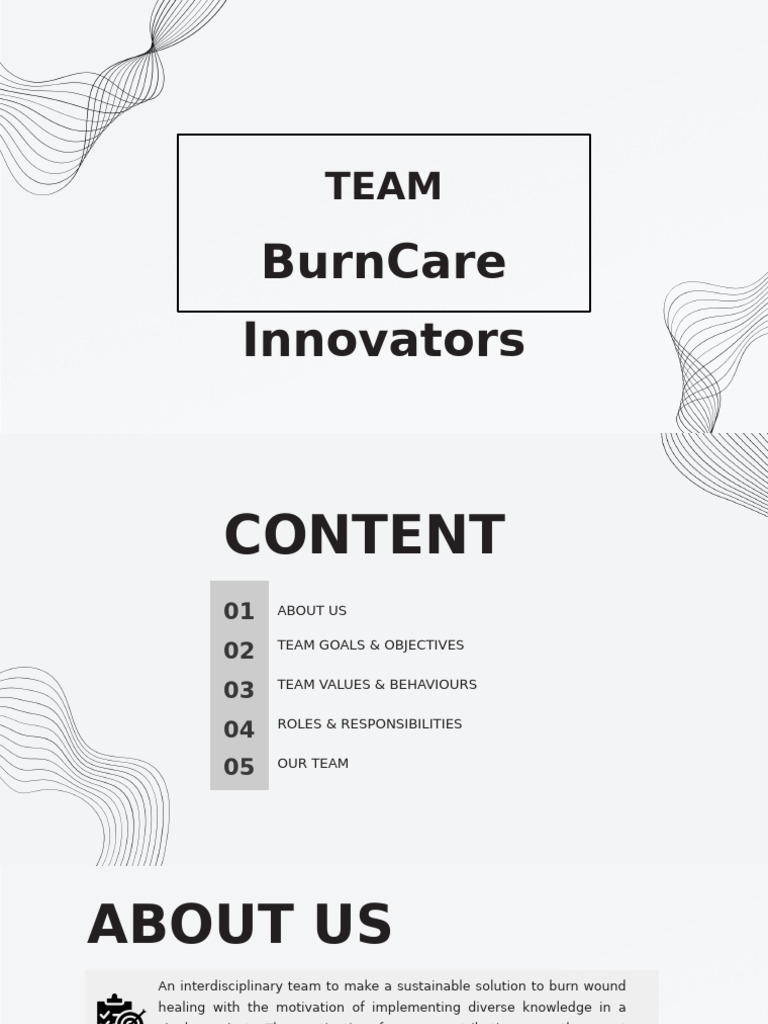 Innovative Team for Sustainable Burn Care | PDF | Innovation | Economies