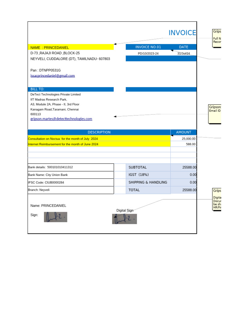 Invoice for Consultation Services - July 2024 | PDF