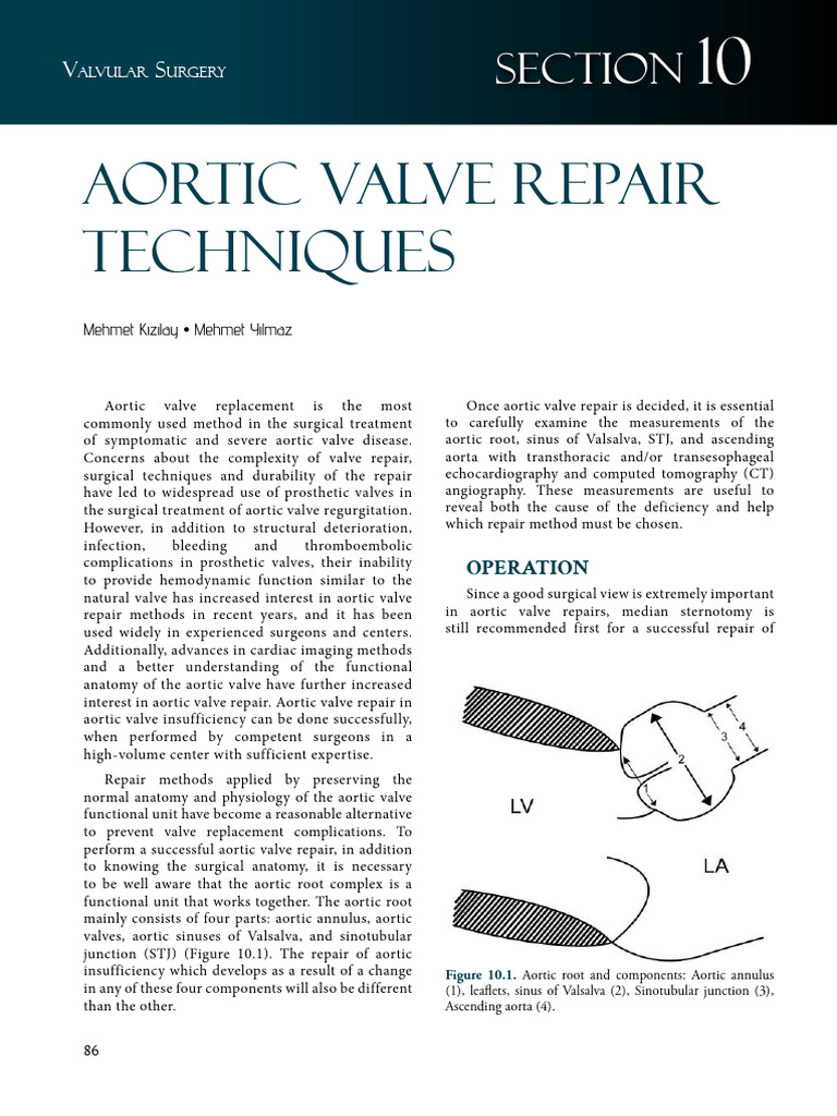 Aortic Valve Repair Techniques 1734651756 | PDF | Aorta | Heart Valve