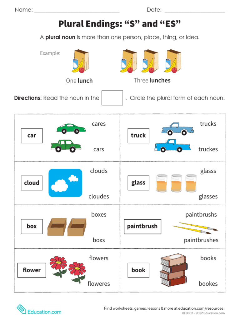 Plurals One and More Than One | PDF