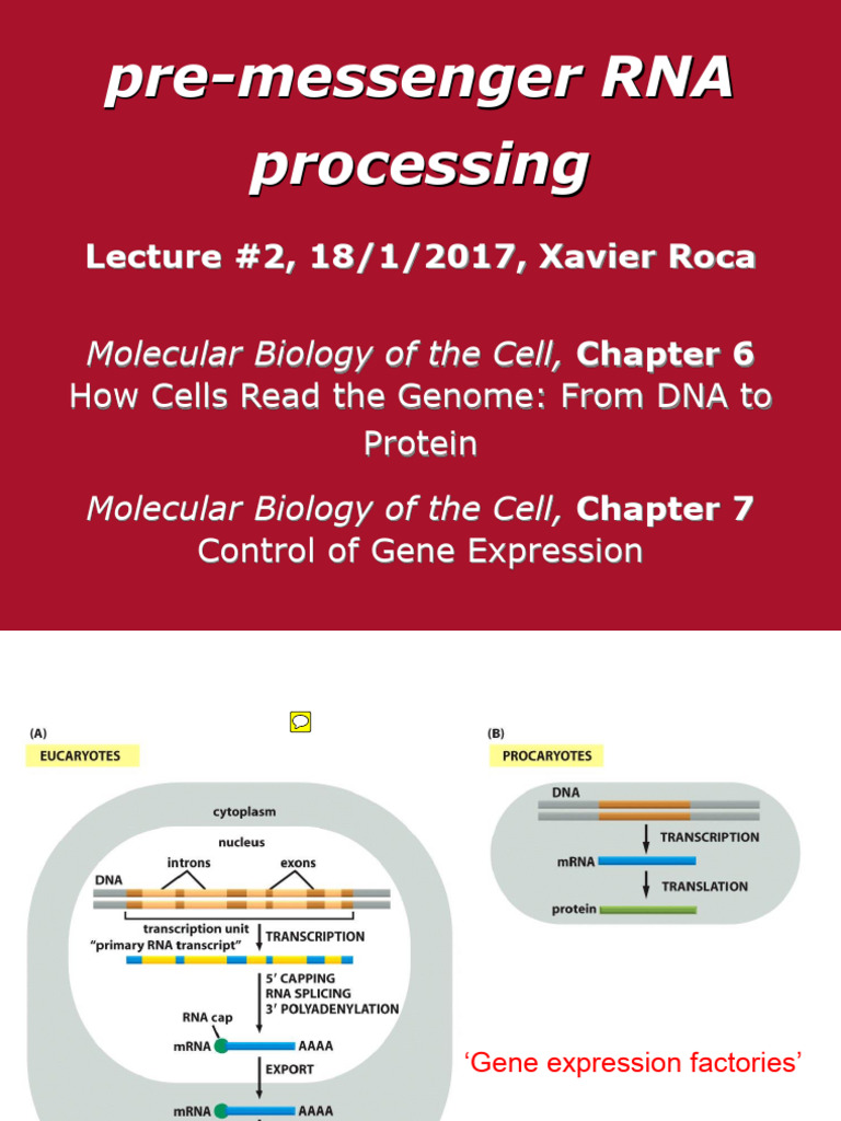 The RNA World 2nd Lect Pre-mRNA Processing AY16 2017 | PDF | Rna Splicing | Alternative Splicing