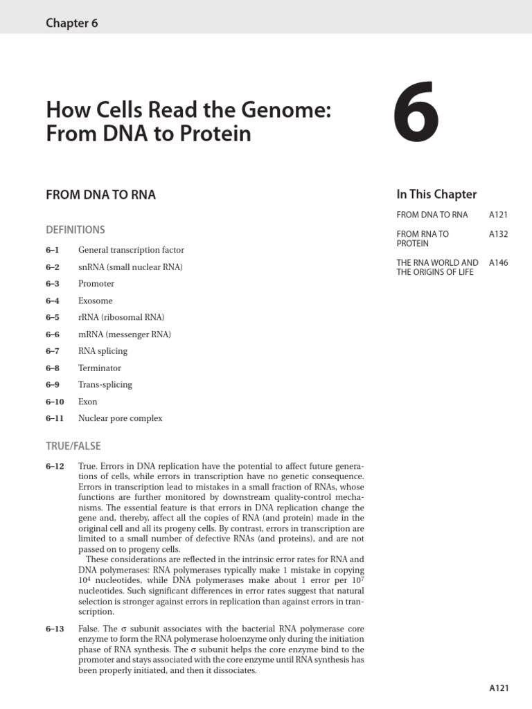 Chapter 6 Ans | PDF | Rna Splicing | Messenger Rna