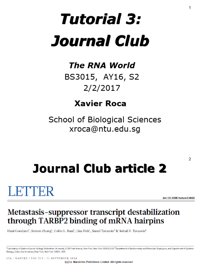 The RNA World 3rd Tut JC AY16 2017 | PDF | Metastasis | Gene Expression