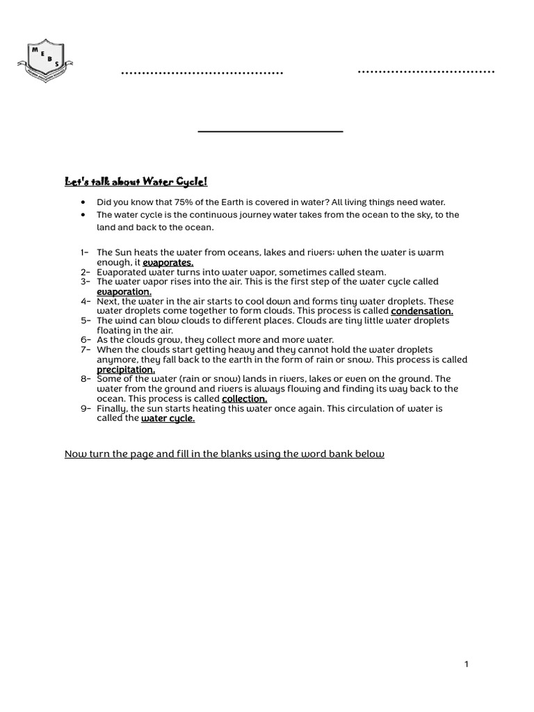 Understanding the Water Cycle | PDF