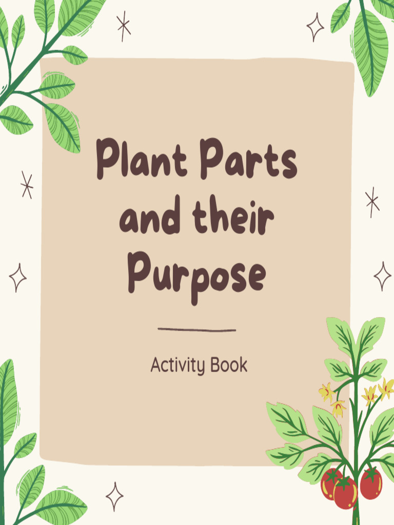 Plant Parts and Their Functions for Kids | PDF