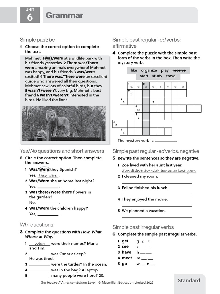 Unit 6 Book Grammar 2 | PDF | Semantic Units | Language Families
