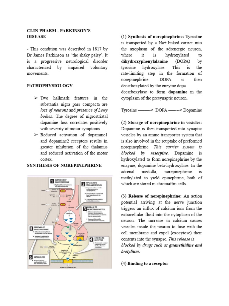 Clin Pharm - Parkinson's Disease | PDF | Norepinephrine | Dopamine