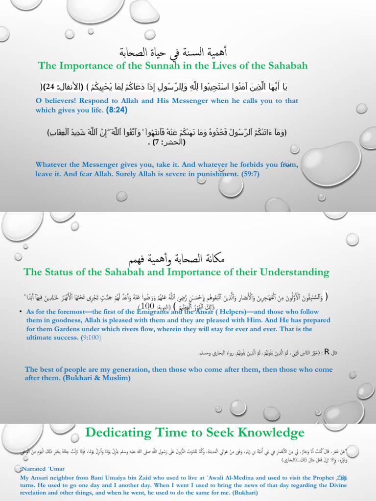 The Importance of The Sunnah in The Lives of The Sahabah | PDF ...