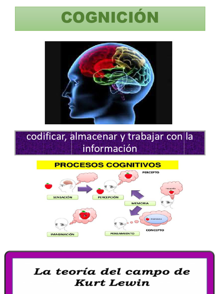 Cognicion 1710808964451 | PDF