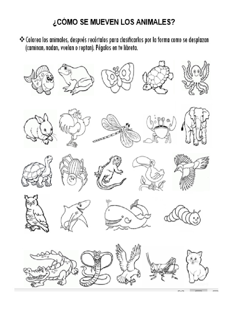 ¿Cómo Se Mueven Los Animales? | PDF