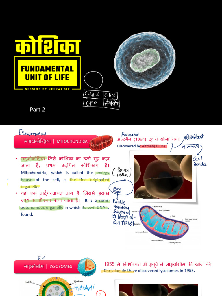 CELL PART-2 - PDF | PDF