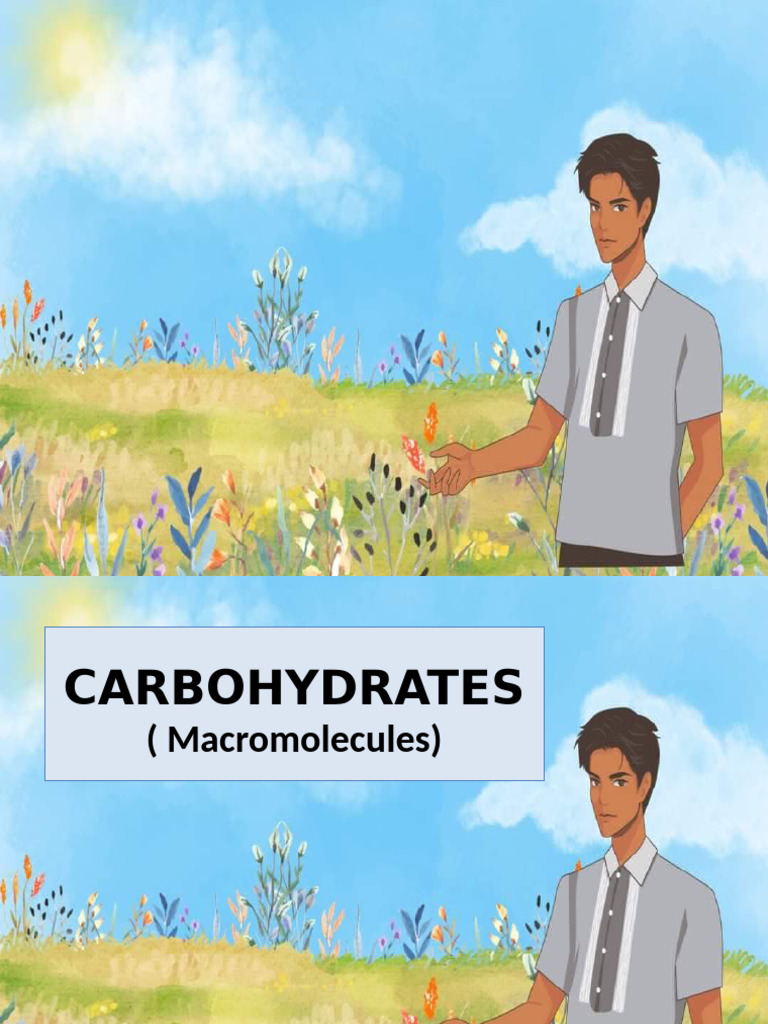 DEMO MACROMOLECULES | PDF | Carbohydrates | Glucose